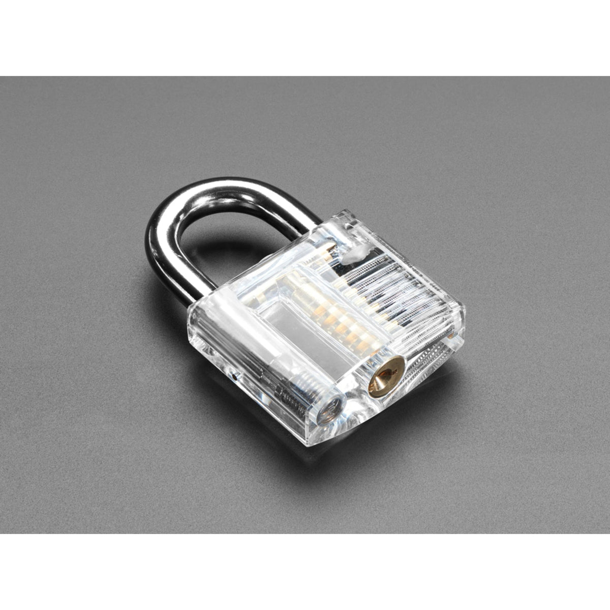 Large Clear Practice Padlock — Little Bird