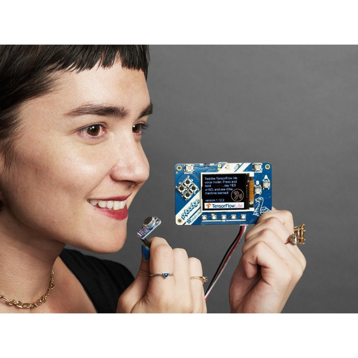TensorFlow Lite for Microcontrollers Kit — Little Bird