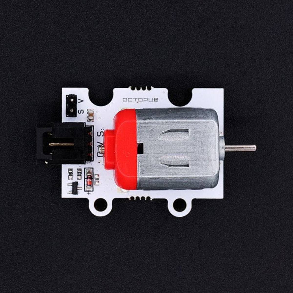 Octopus Motor Brick — Little Bird